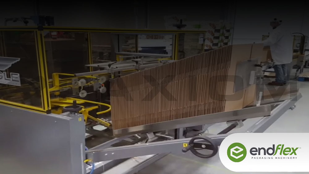 Tape Case Erector | Automatic Tape Case Erecting Machines