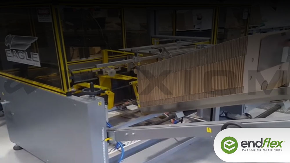 Semi automatic case packer | EndFlex