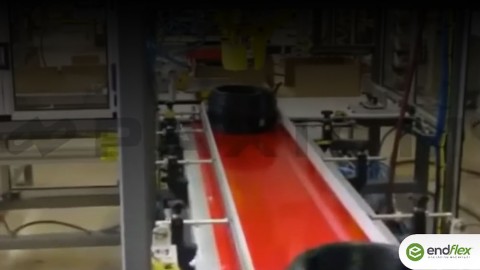 Top Load Case & Tray Packing | End Of Line Machines